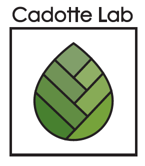 PEOPLE – CUBES Lab