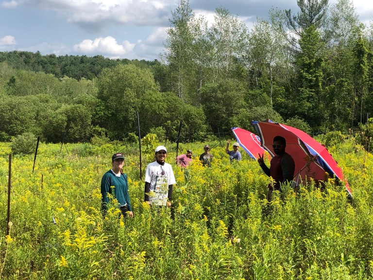 PEOPLE – CUBES Lab